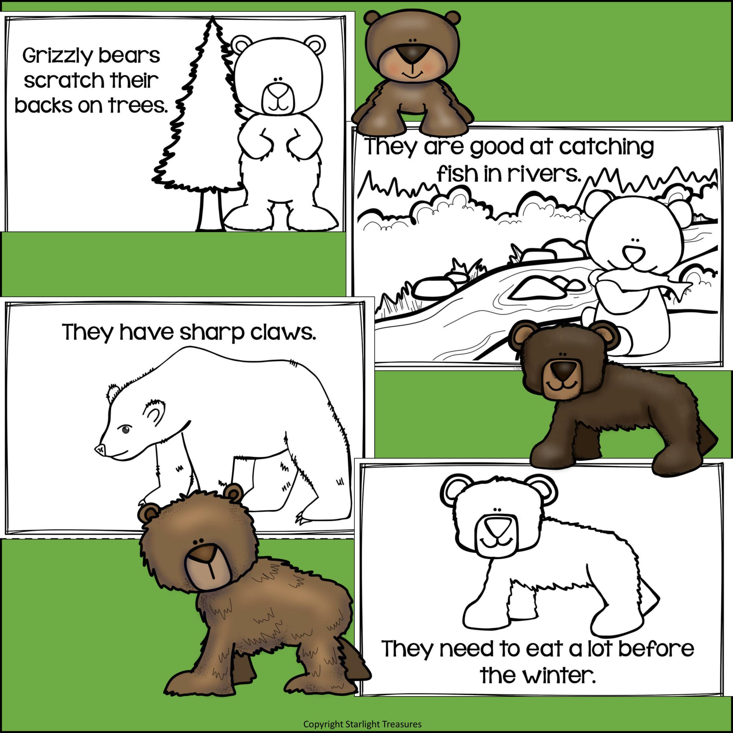 Grizzly Bears Mini Book for Early Readers - Animal Study | Made By Teachers