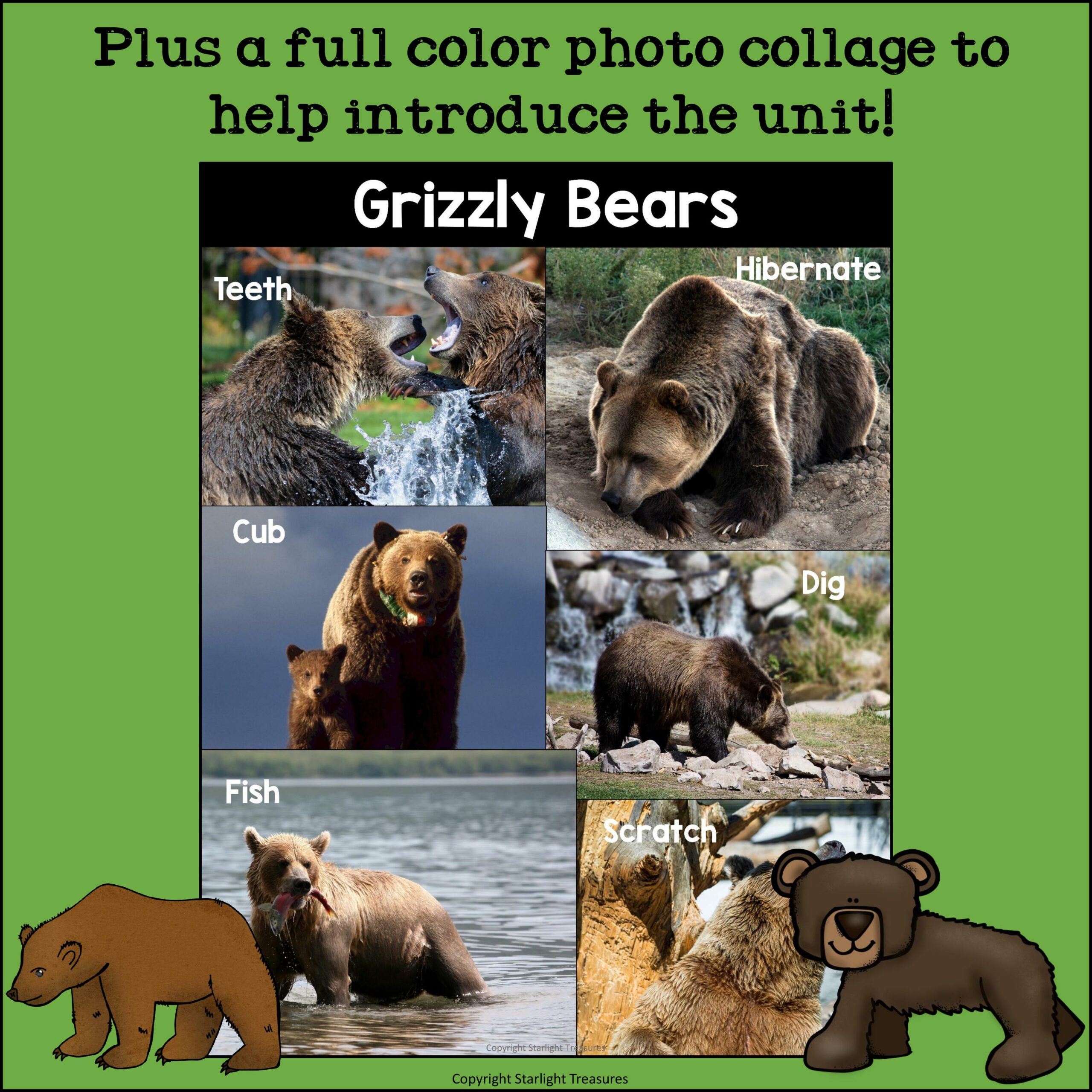 Grizzly Bears Mini Book for Early Readers - Animal Study | Made By Teachers