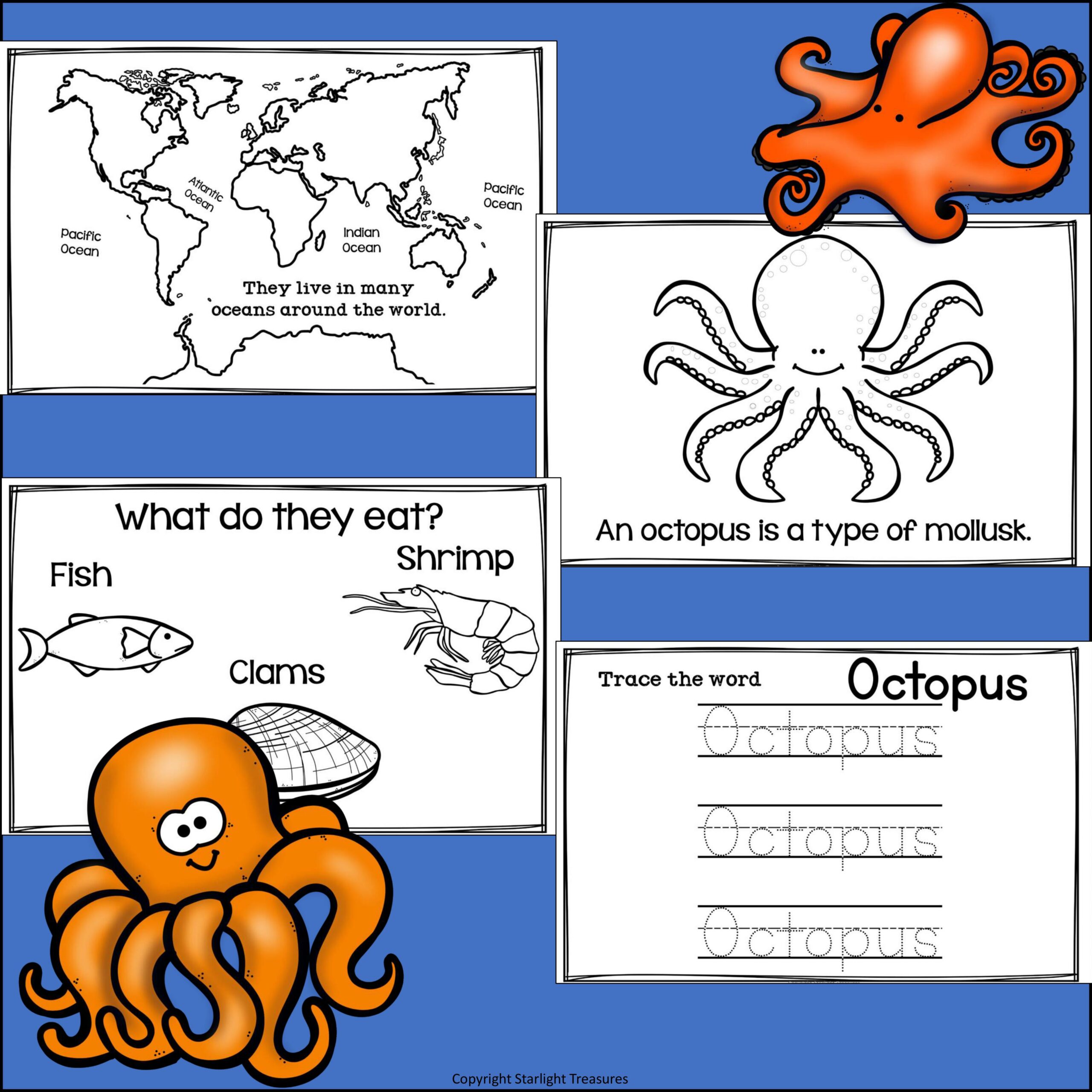 Octopus Mini Book for Early Readers - Animal Study | Made By Teachers