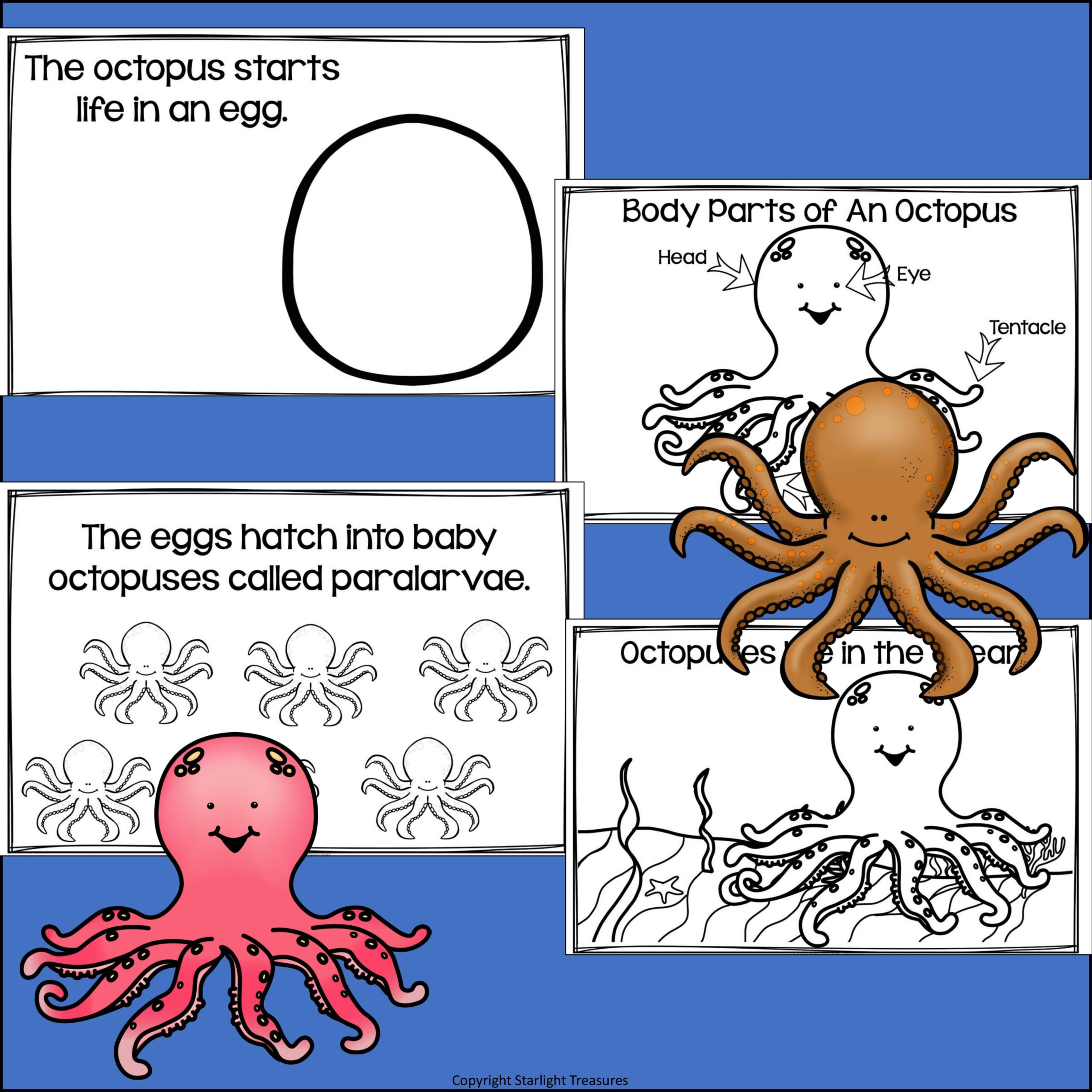 Octopus Mini Book for Early Readers - Animal Study | Made By Teachers