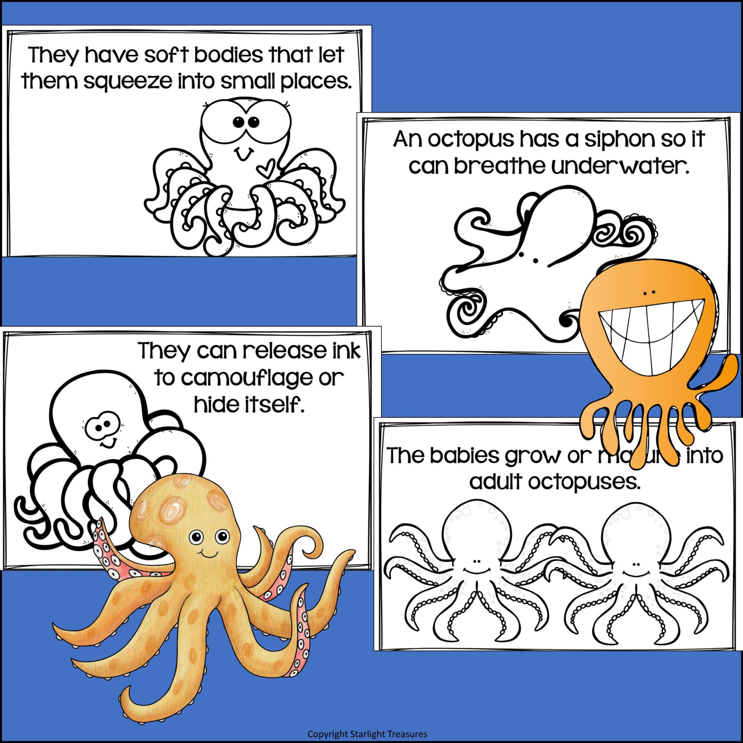 Octopus Mini Book for Early Readers - Animal Study | Made By Teachers