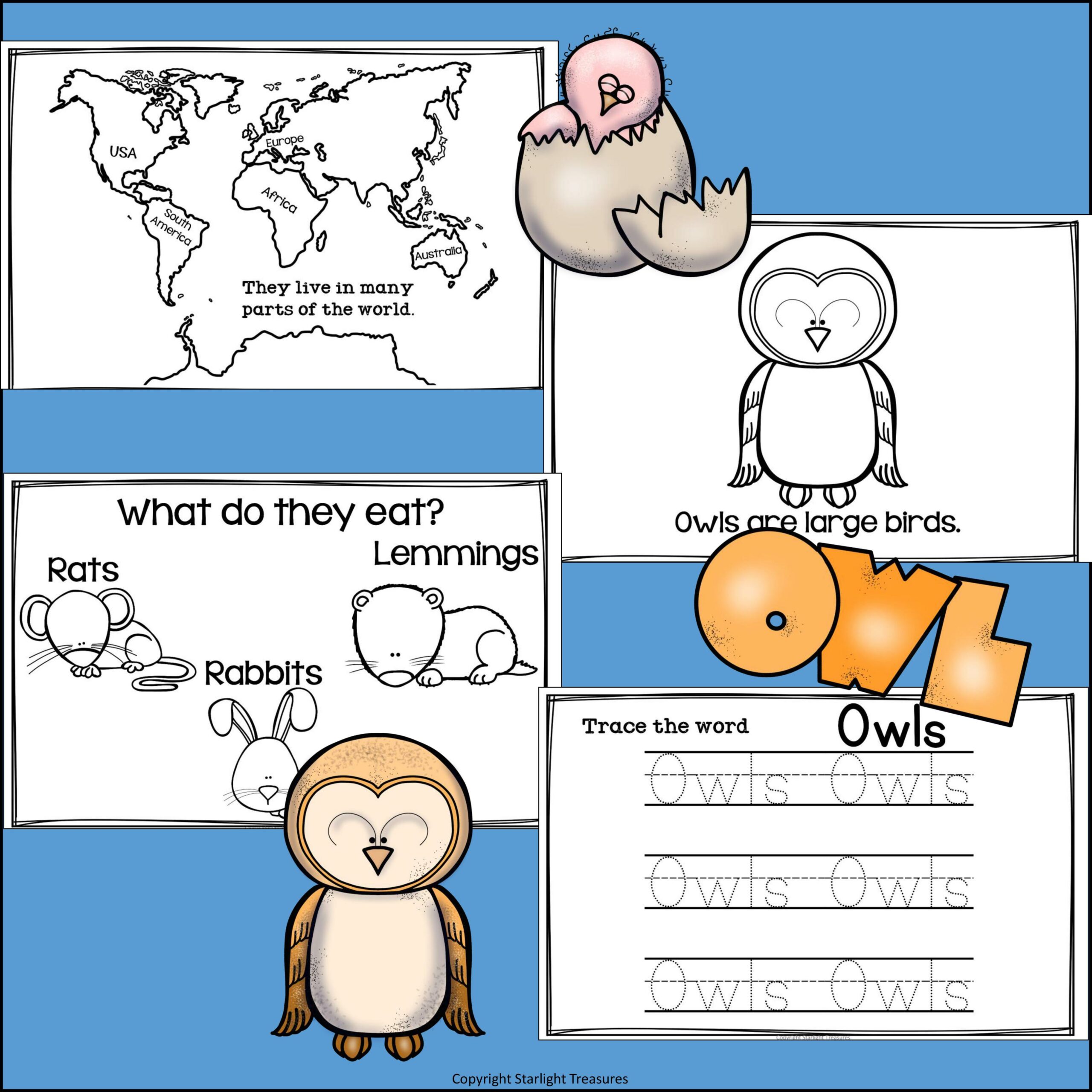 Owls Mini Book for Early Readers - Animal Study | Made By Teachers