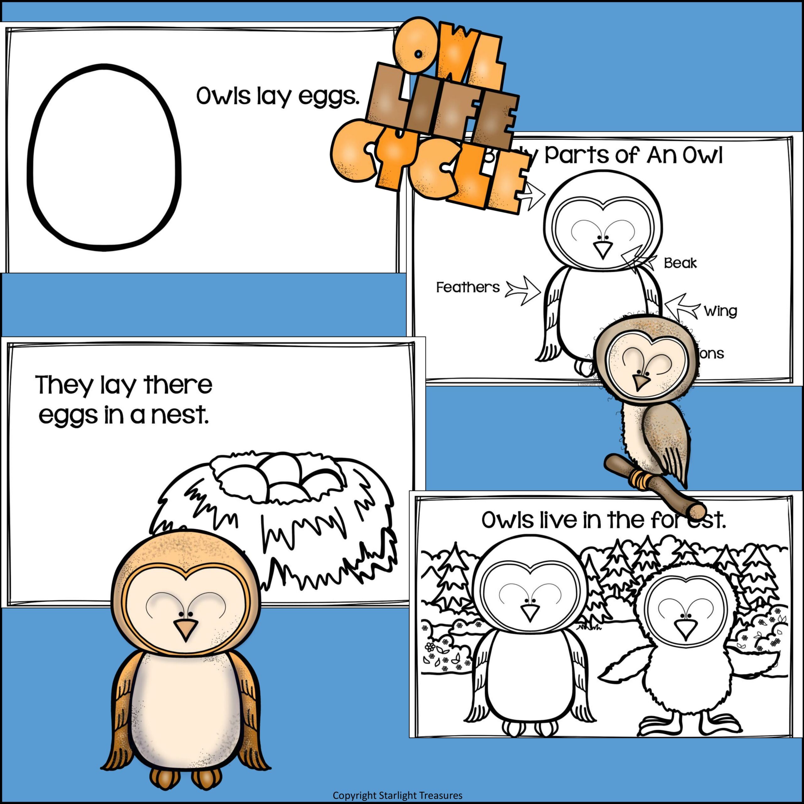 Owls Mini Book for Early Readers - Animal Study | Made By Teachers