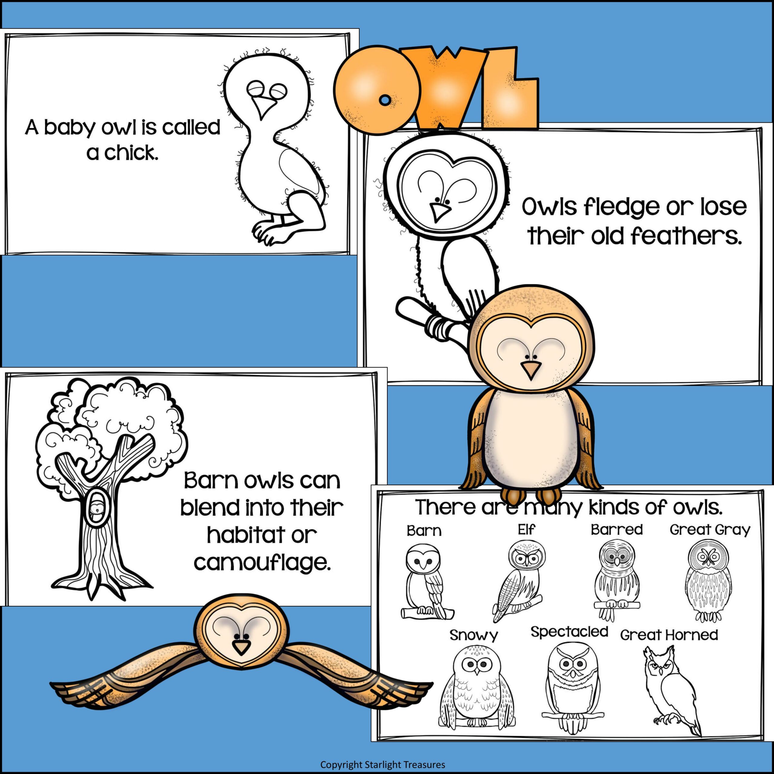 Owls Mini Book for Early Readers - Animal Study | Made By Teachers