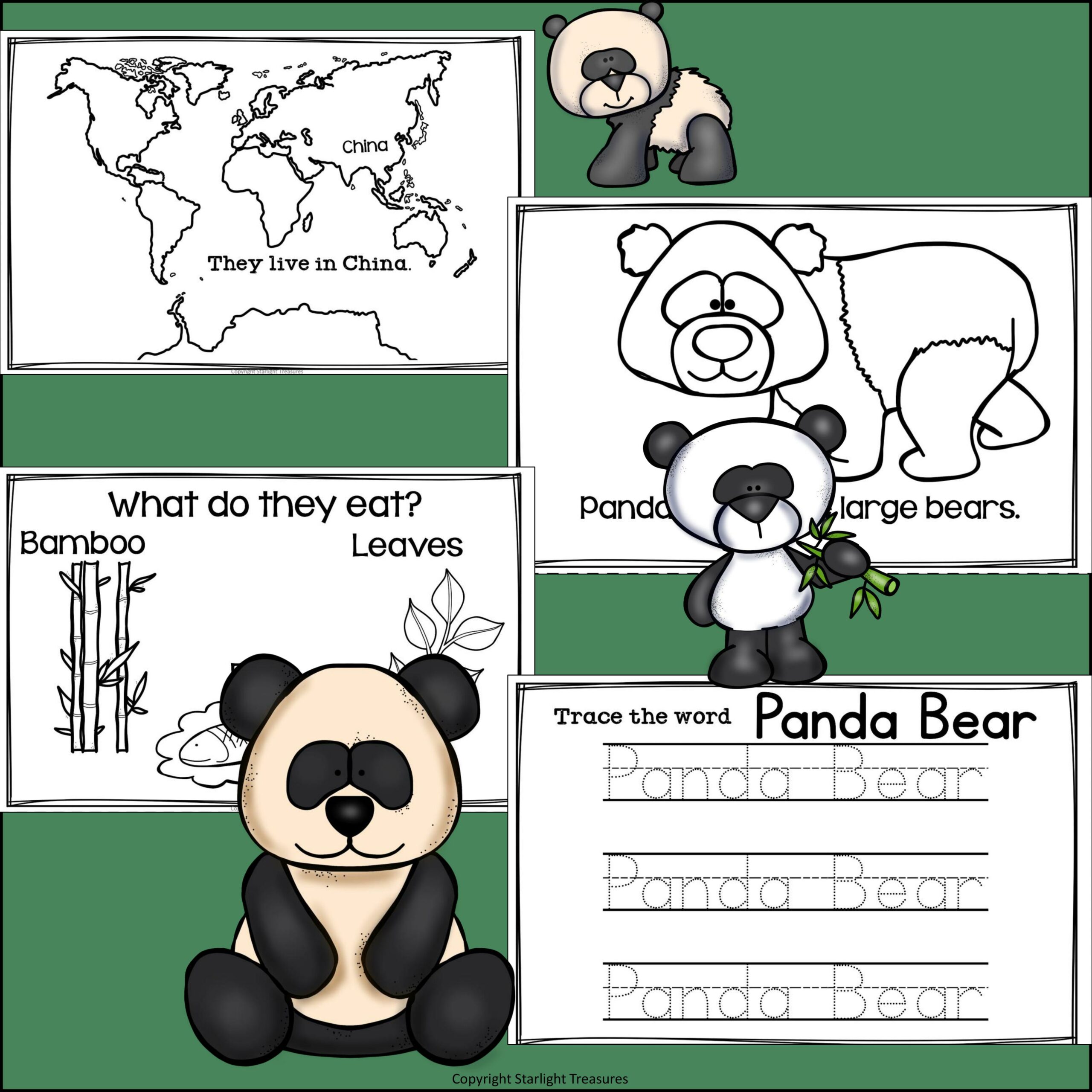 Panda Bears Mini Book for Early Readers - Animal Study | Made By Teachers