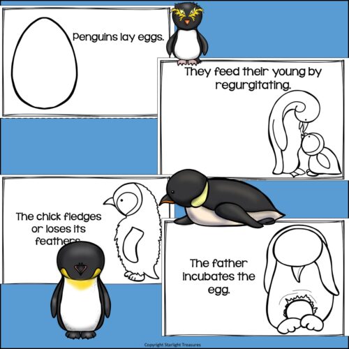 Penguins Mini Book for Early Readers - Animal Study | Made By Teachers