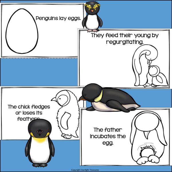 Penguins Mini Book for Early Readers - Animal Study | Made By Teachers
