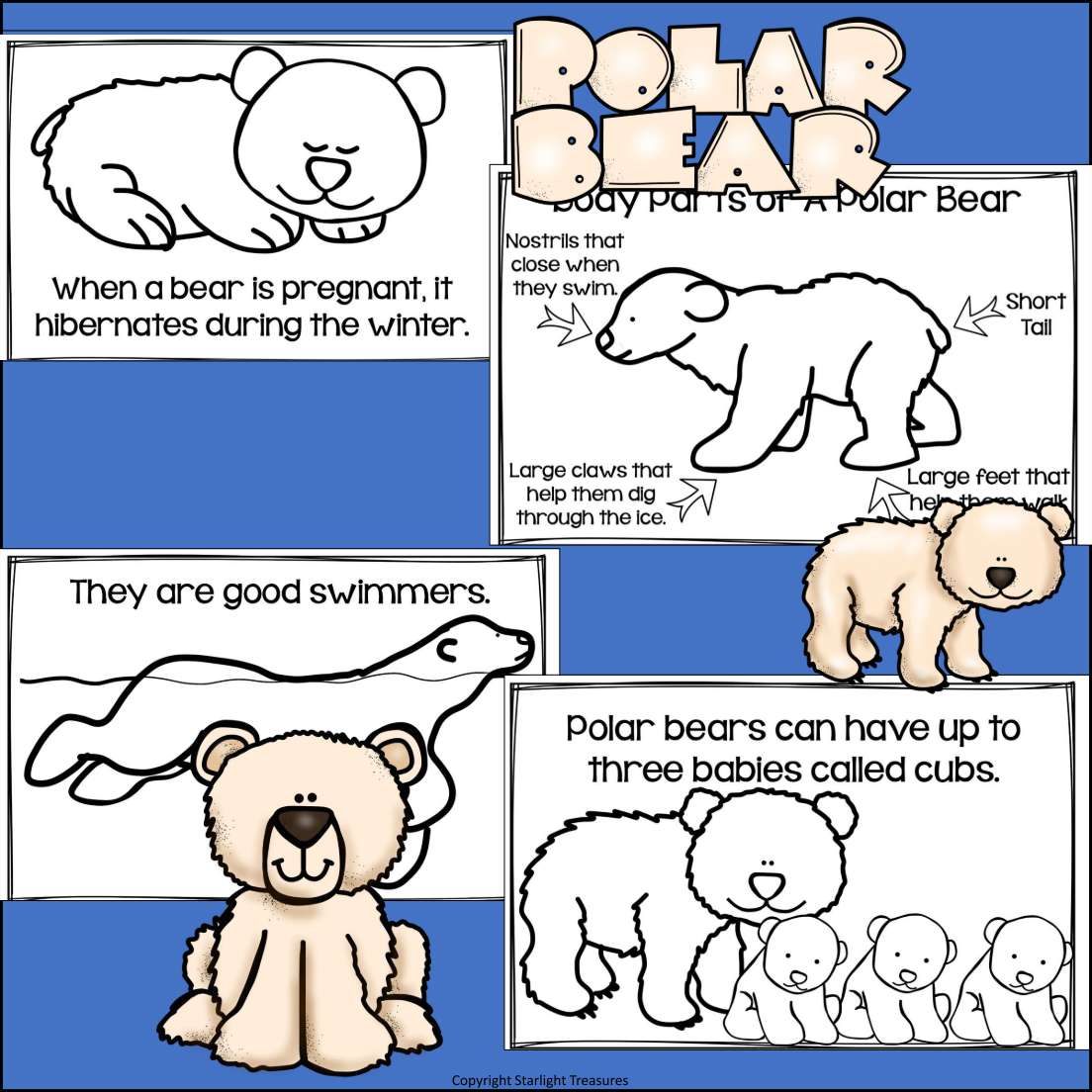Polar Bears Mini Book for Early Readers - Animal Study | Made By Teachers