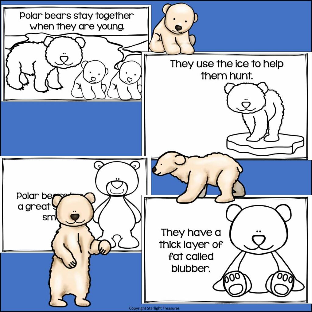 Polar Bears Mini Book for Early Readers - Animal Study | Made By Teachers