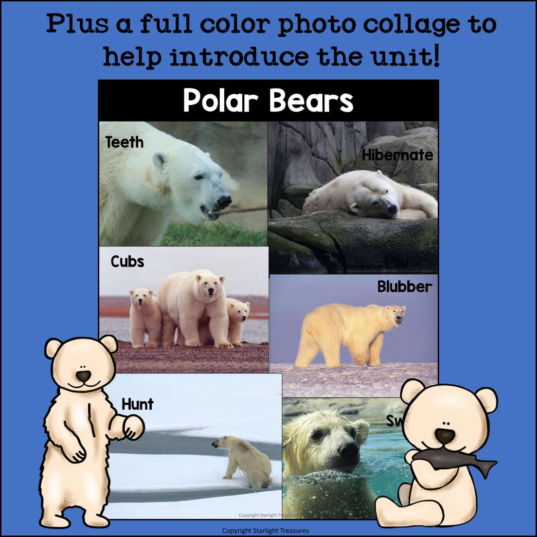 Polar Bears Mini Book for Early Readers - Animal Study | Made By Teachers