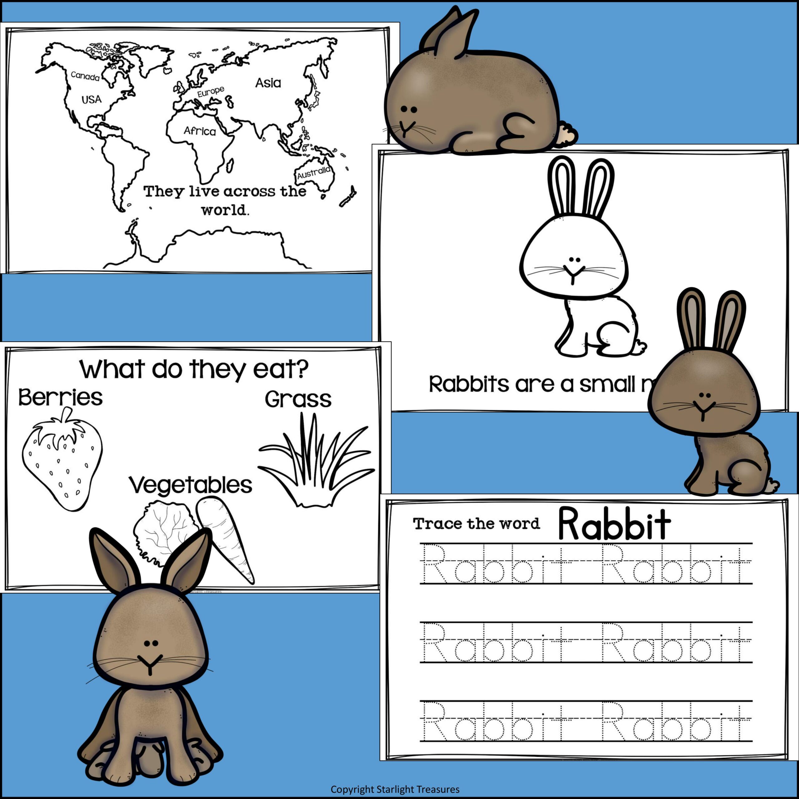 Rabbits Mini Book for Early Readers - Bunny Mini Book - Animal Study ...