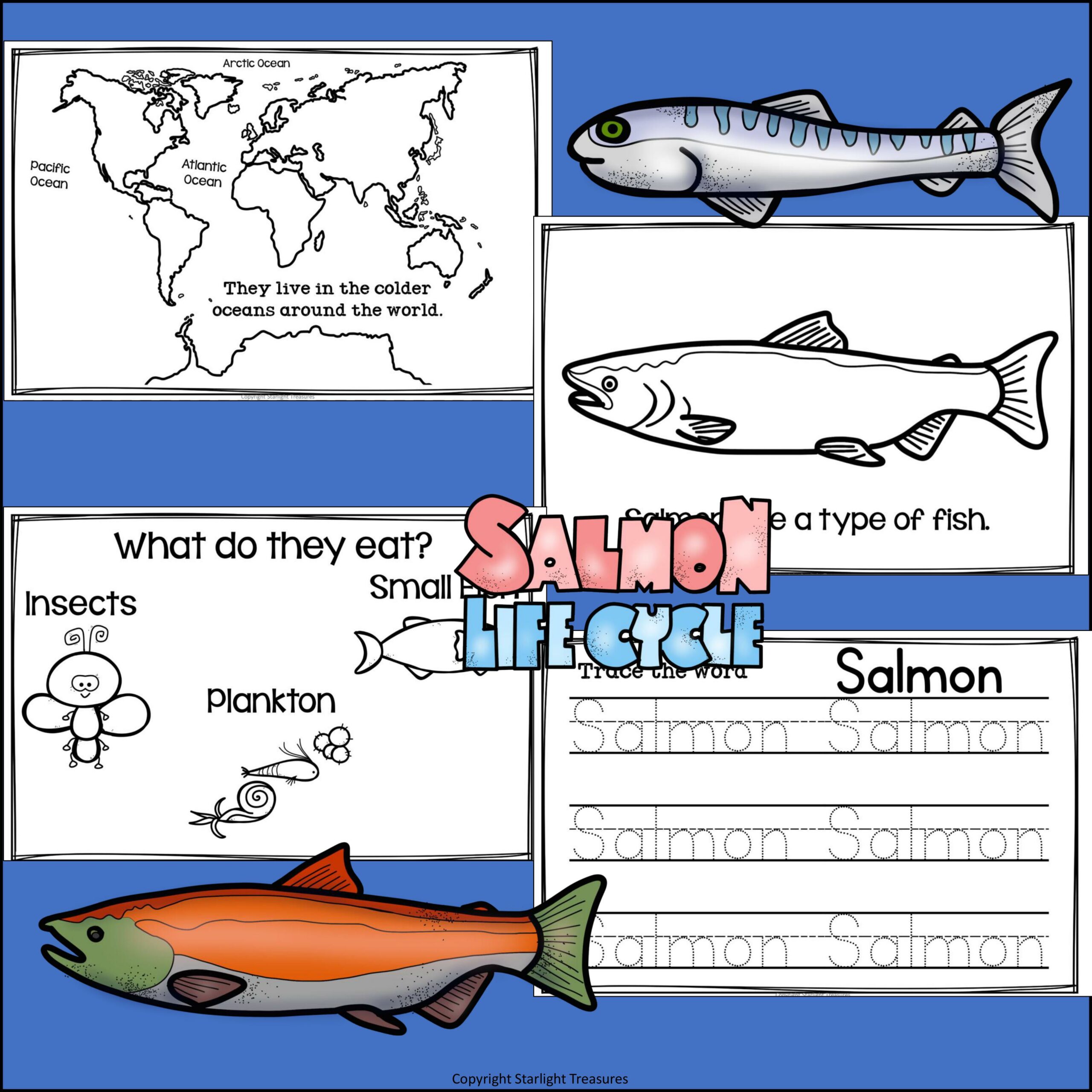 Salmon Mini Book for Early Readers - Animal Study | Made By Teachers