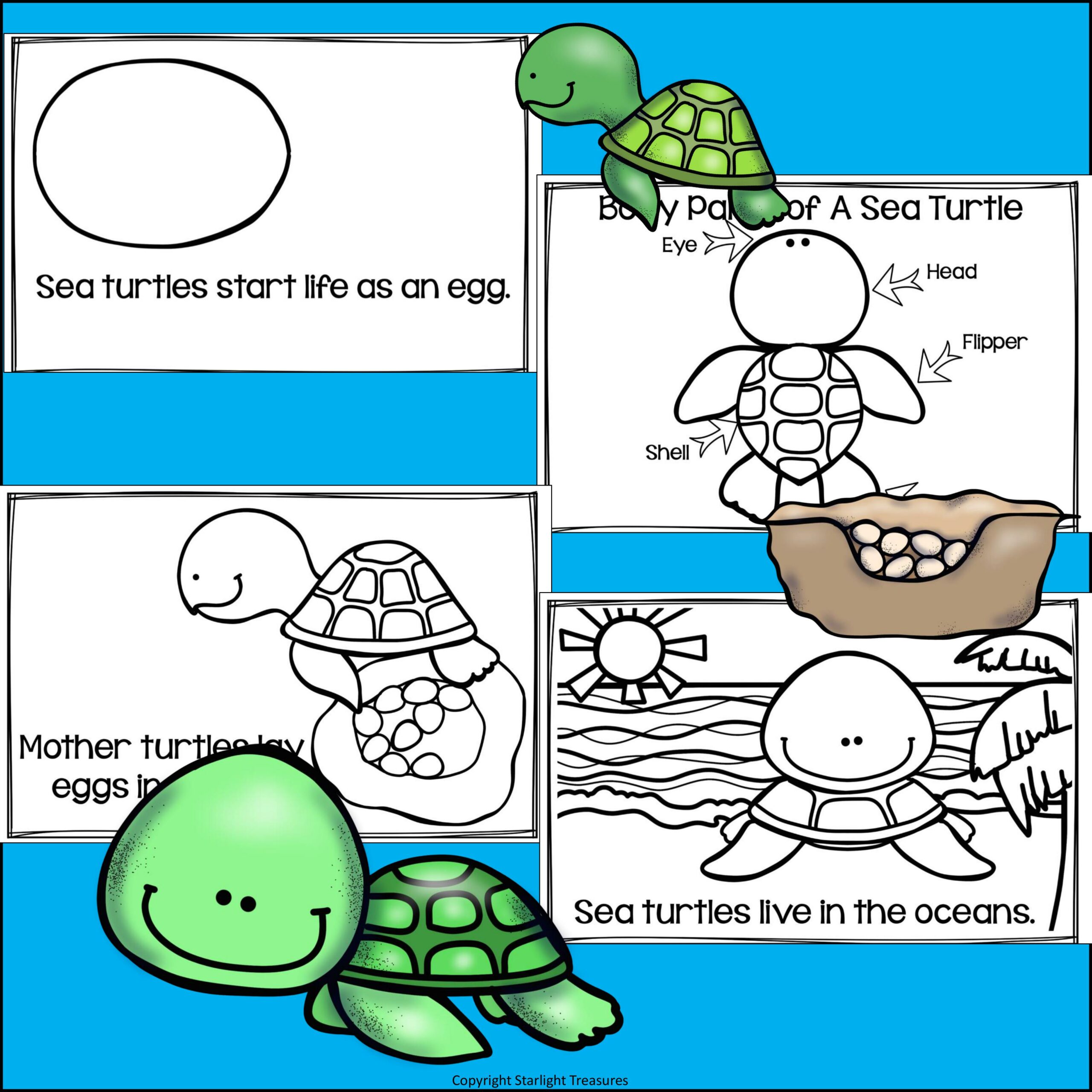 Sea Turtles Mini Book for Early Readers - Animal Study | Made By Teachers