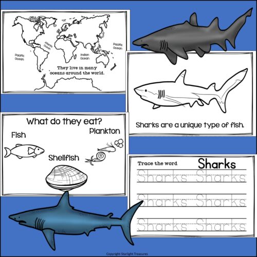 Sharks Mini Book for Early Readers - Animal Study | Made By Teachers