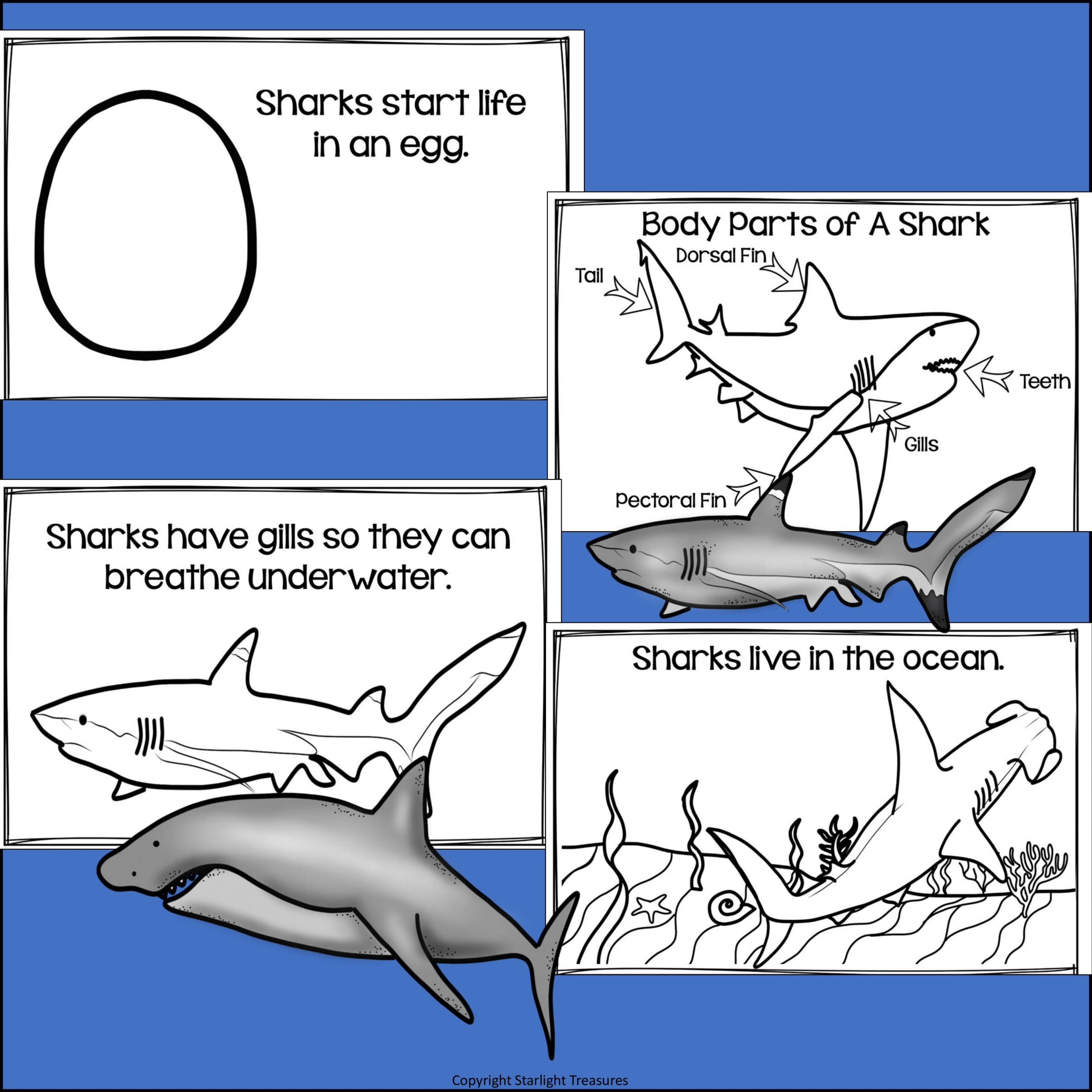 Sharks Mini Book for Early Readers - Animal Study | Made By Teachers