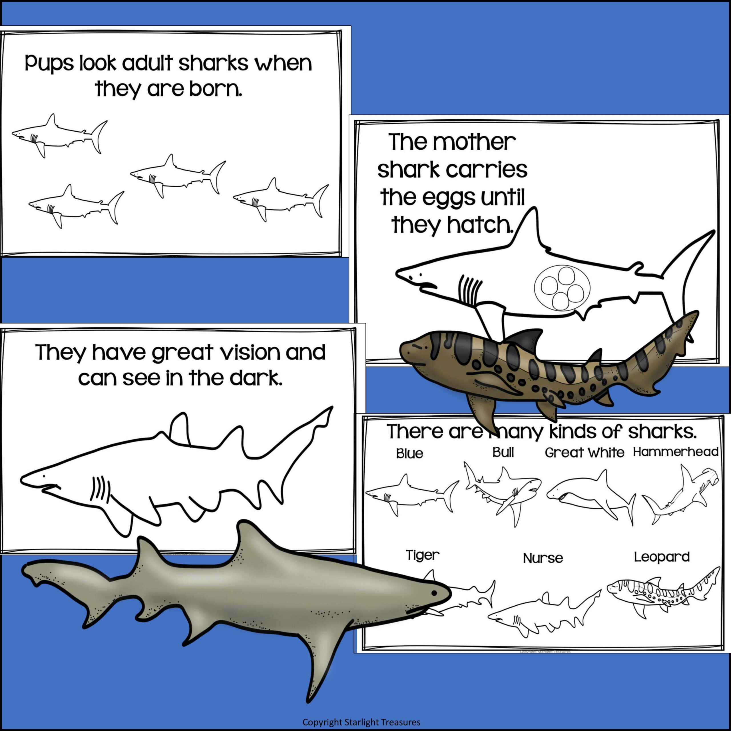 Sharks Mini Book for Early Readers - Animal Study | Made By Teachers