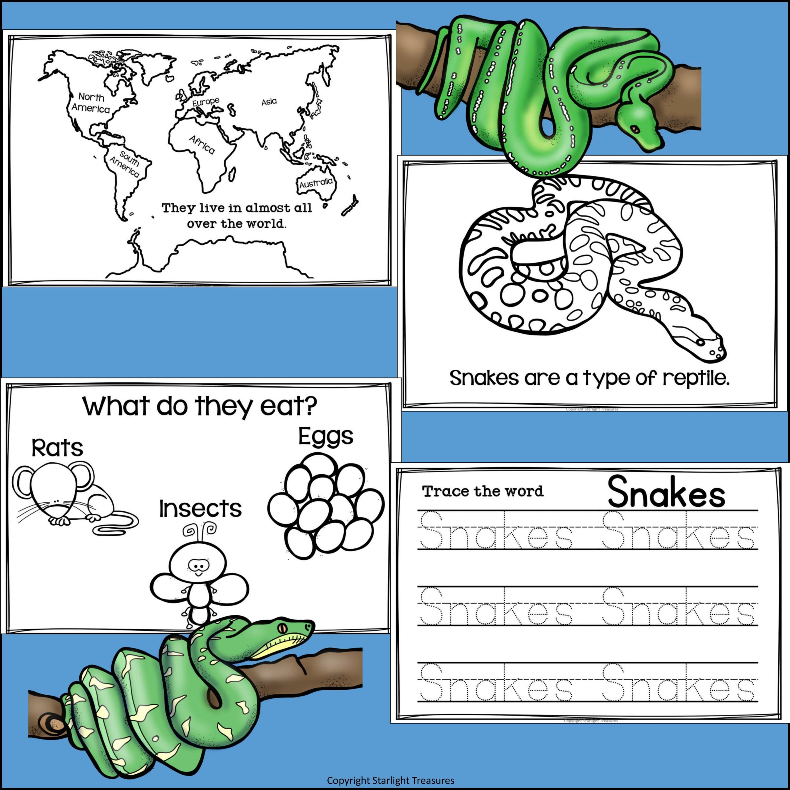 Snakes Mini Book for Early Readers - Animal Study | Made By Teachers