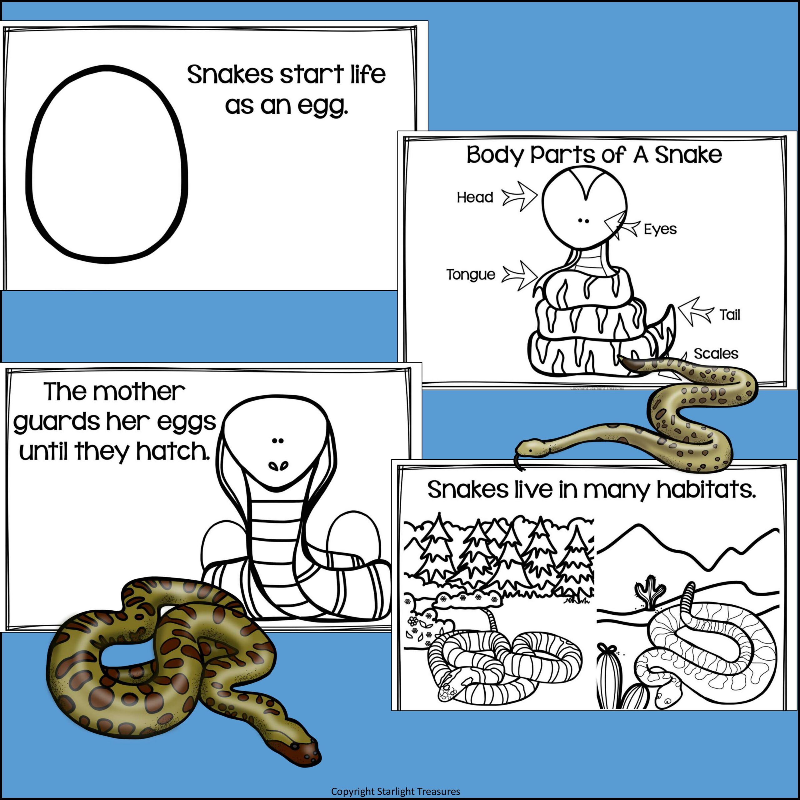 Snakes Mini Book for Early Readers - Animal Study | Made By Teachers