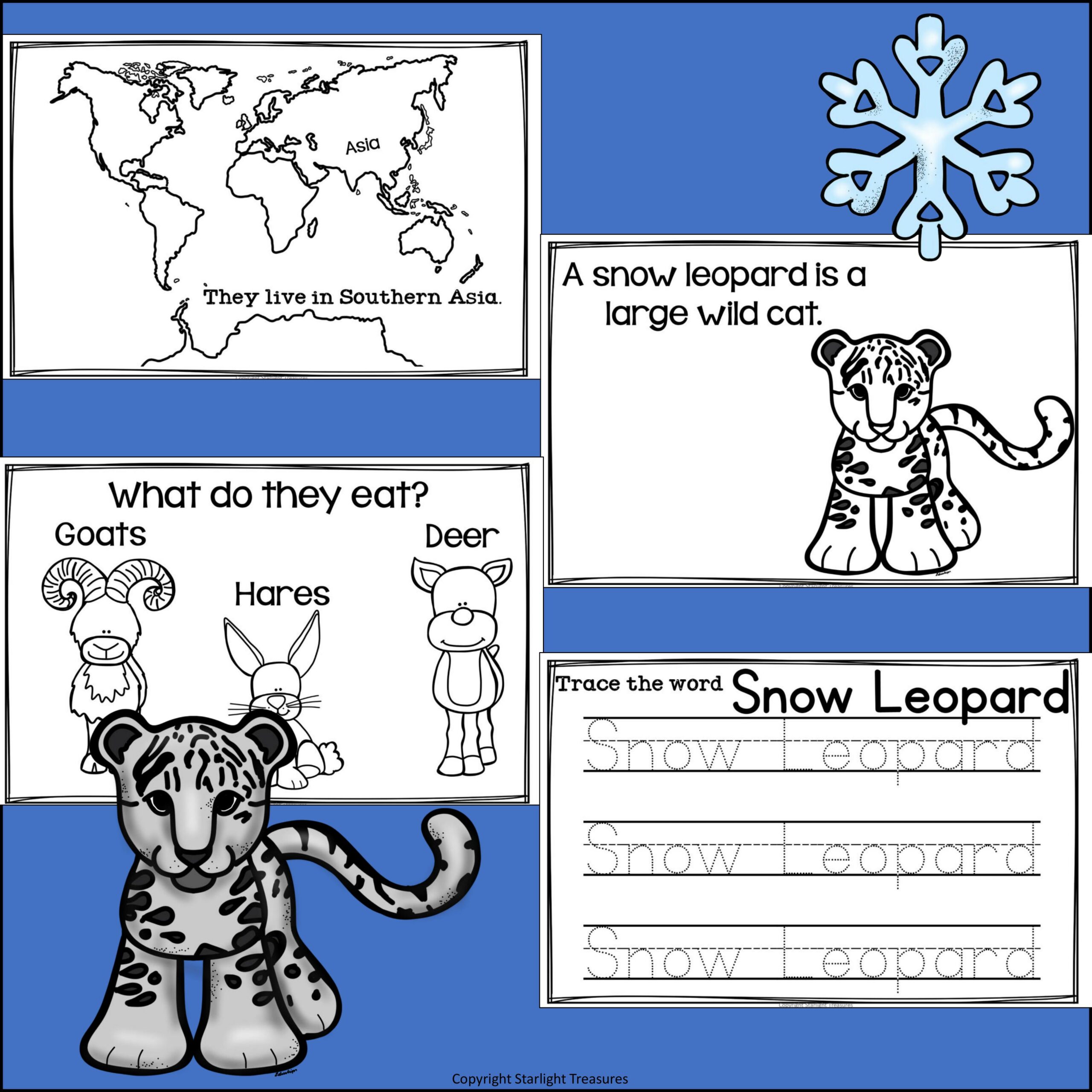 Snow Leopard Mini Book for Early Readers - Animal Study | Made By Teachers