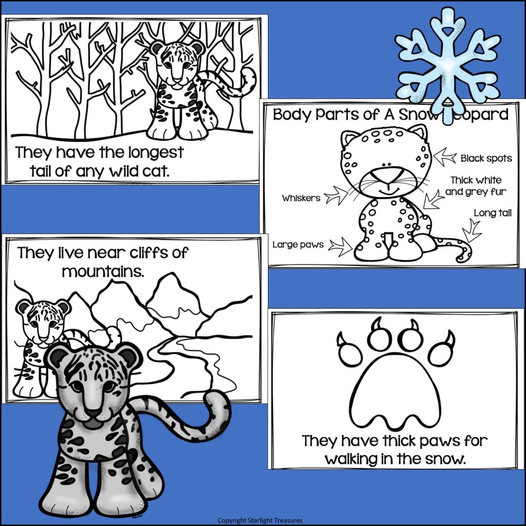 Snow Leopard Mini Book for Early Readers - Animal Study | Made By Teachers