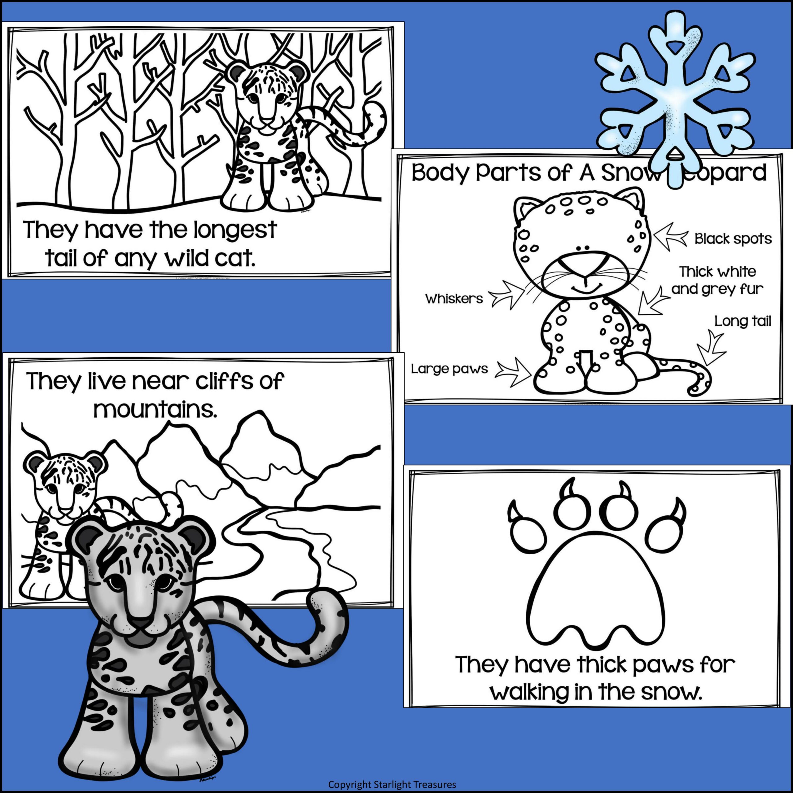 Snow Leopard Mini Book for Early Readers - Animal Study | Made By Teachers