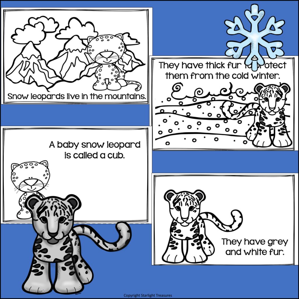 Snow Leopard Mini Book for Early Readers - Animal Study | Made By Teachers