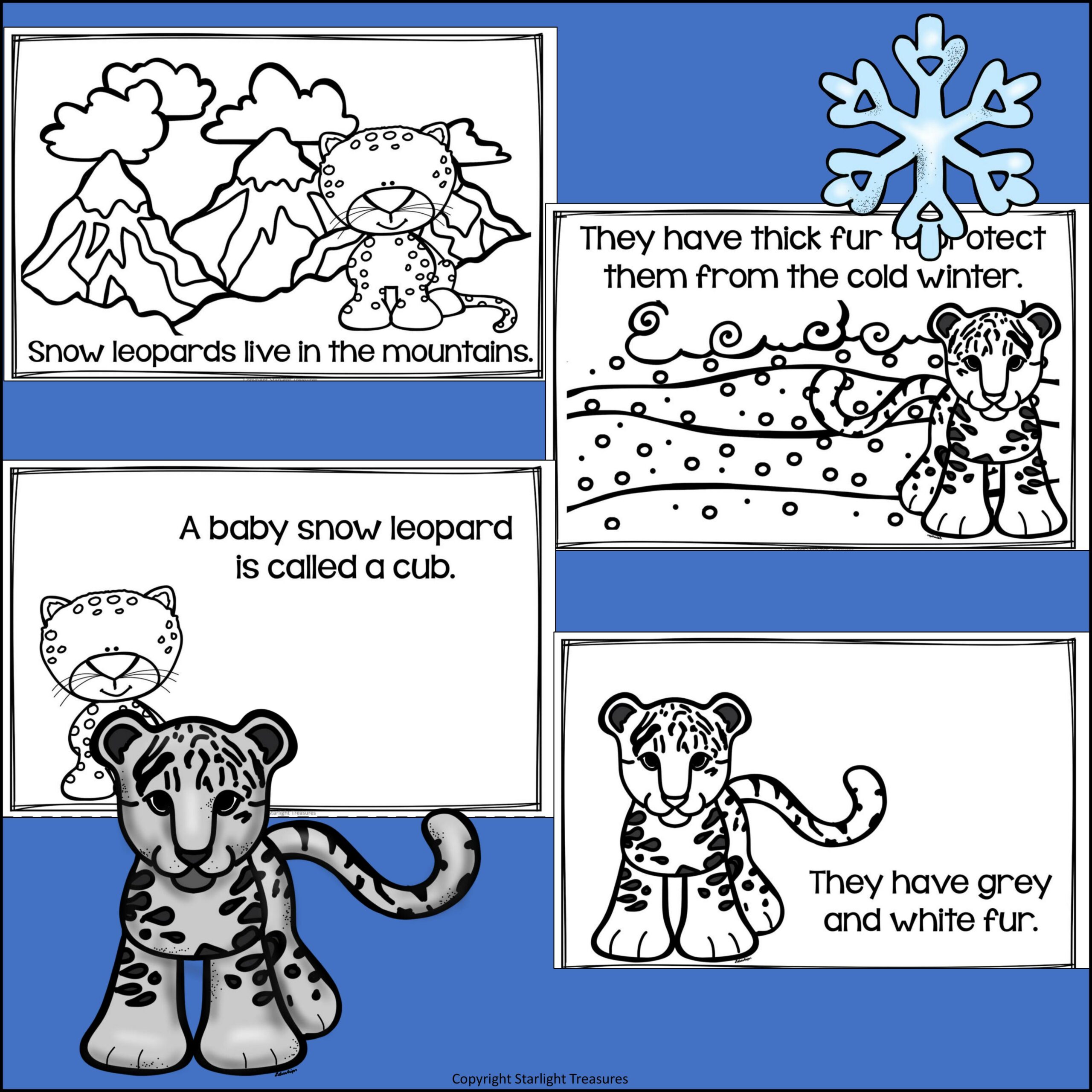 Snow Leopard Mini Book for Early Readers - Animal Study | Made By Teachers