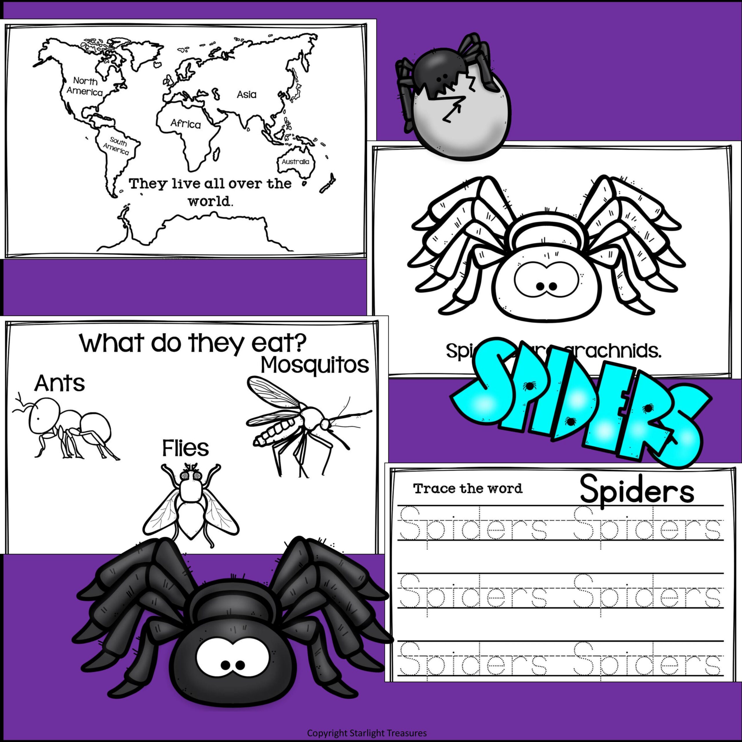 Spiders Mini Book for Early Readers - Animal Study | Made By Teachers