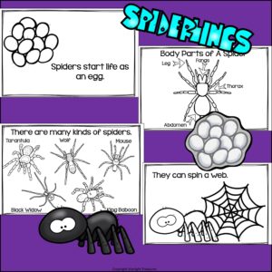 Spiders Mini Book for Early Readers - Animal Study | Made By Teachers