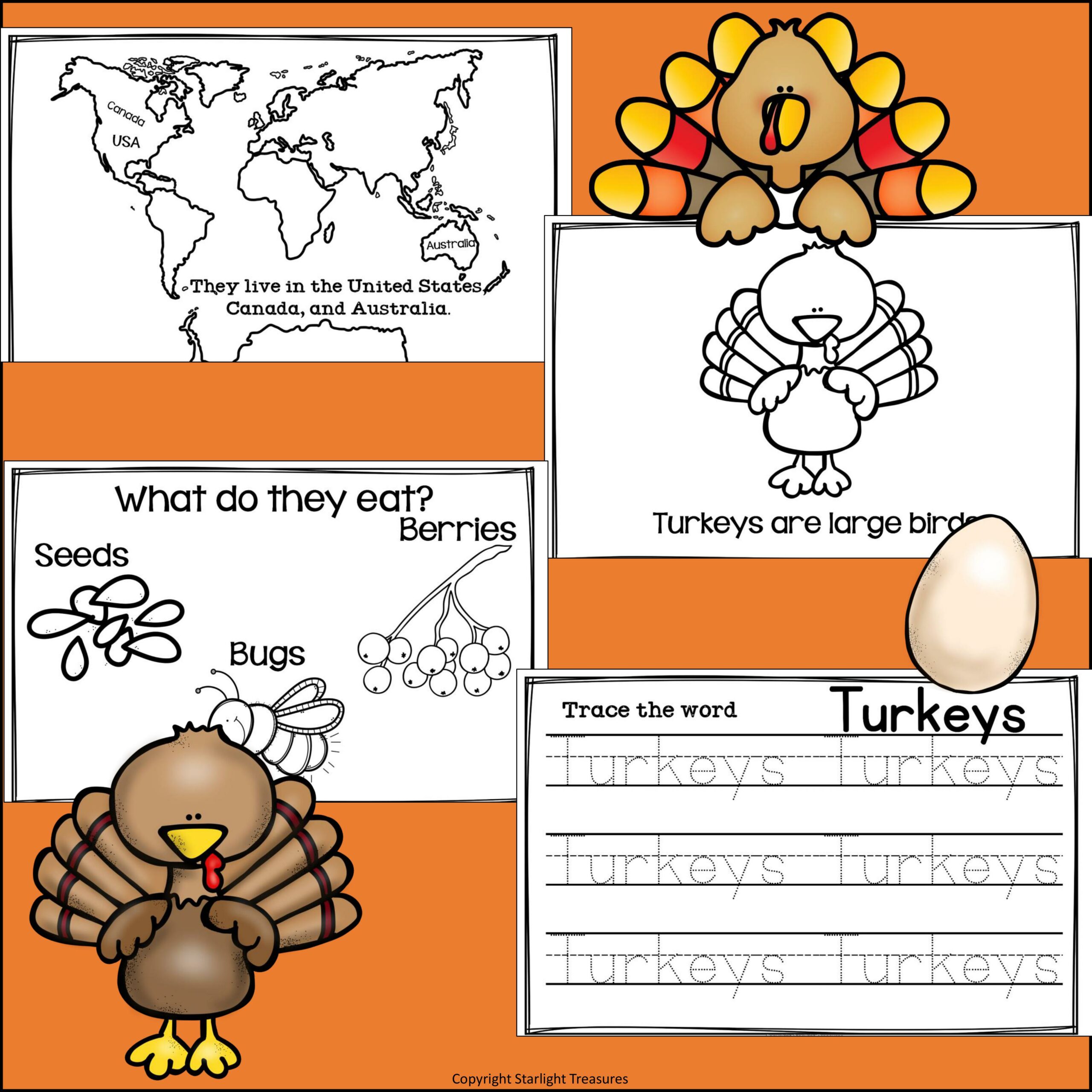 Turkeys Mini Book for Early Readers - Animal Study | Made By Teachers