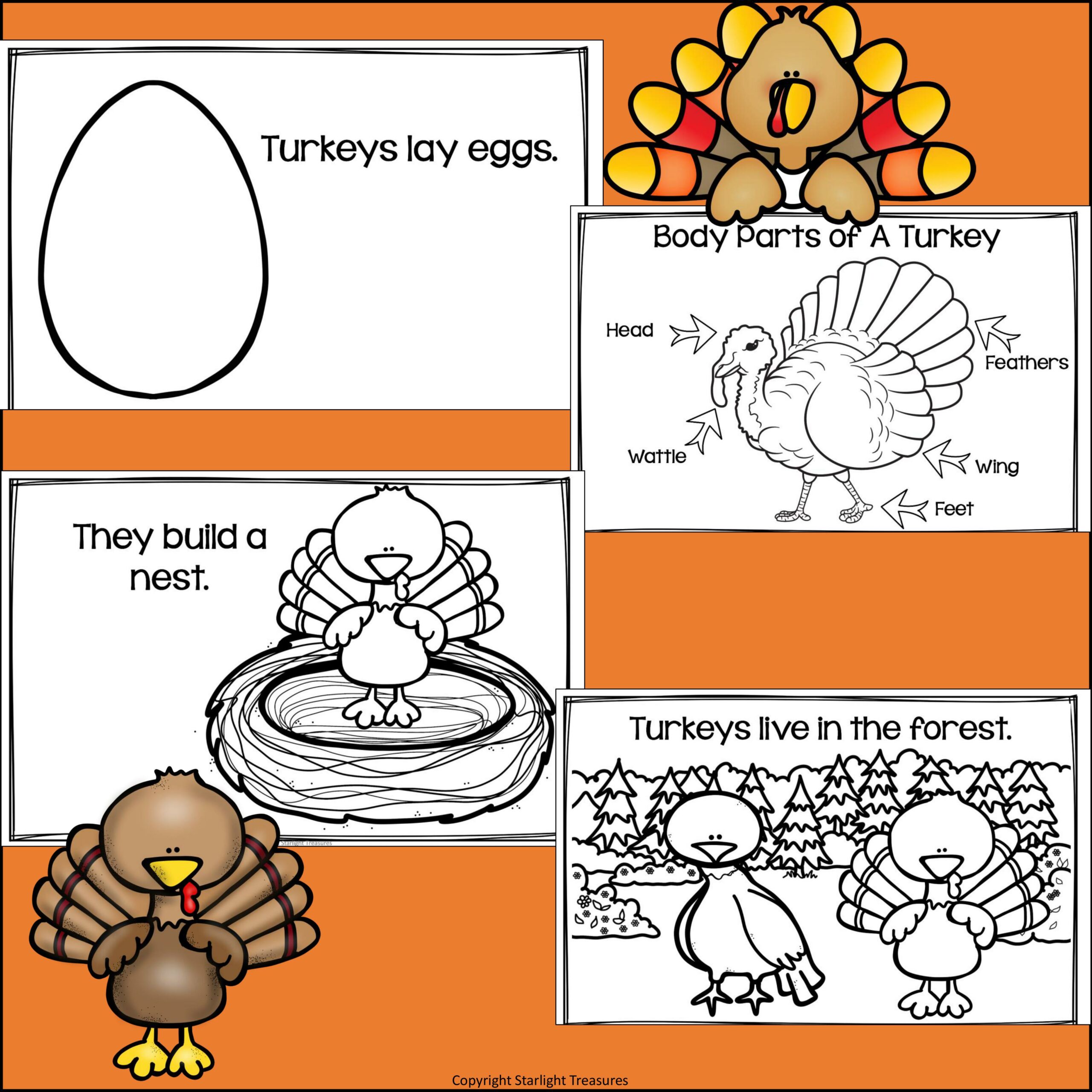 Turkeys Mini Book for Early Readers - Animal Study | Made By Teachers