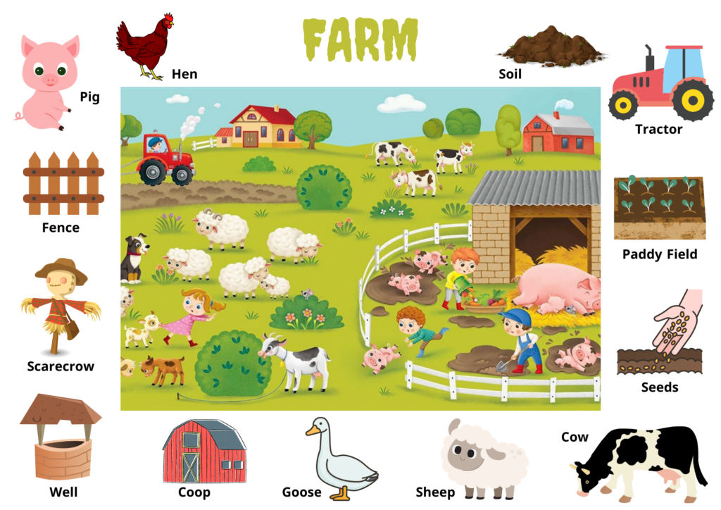 ♥♥My Big Picture Book 1♥♥. | Made By Teachers