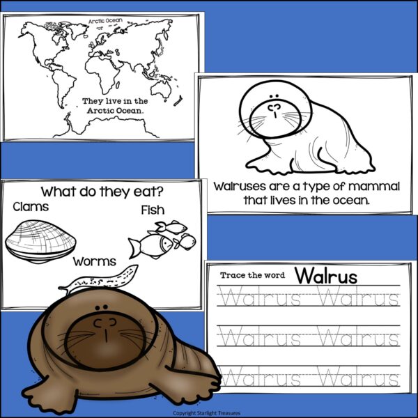 Walruses Mini Book for Early Readers - Walrus - Animal Study | Made By ...