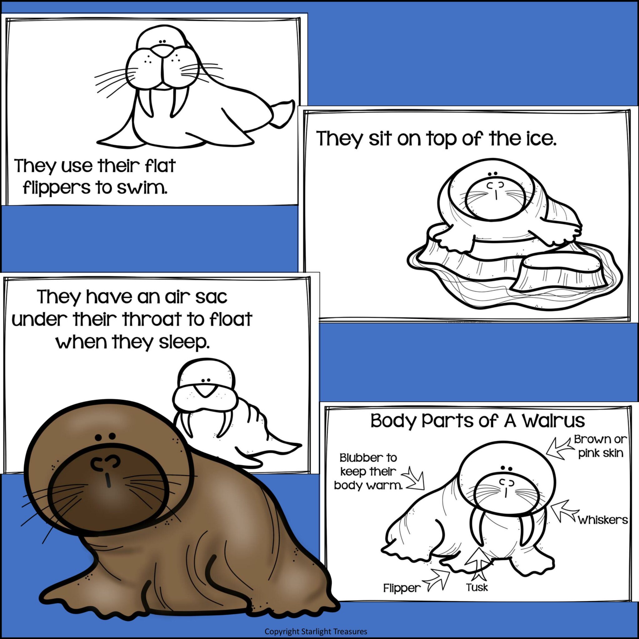 Walruses Mini Book for Early Readers - Walrus - Animal Study | Made By ...