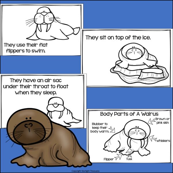 Walruses Mini Book for Early Readers - Walrus - Animal Study | Made By ...