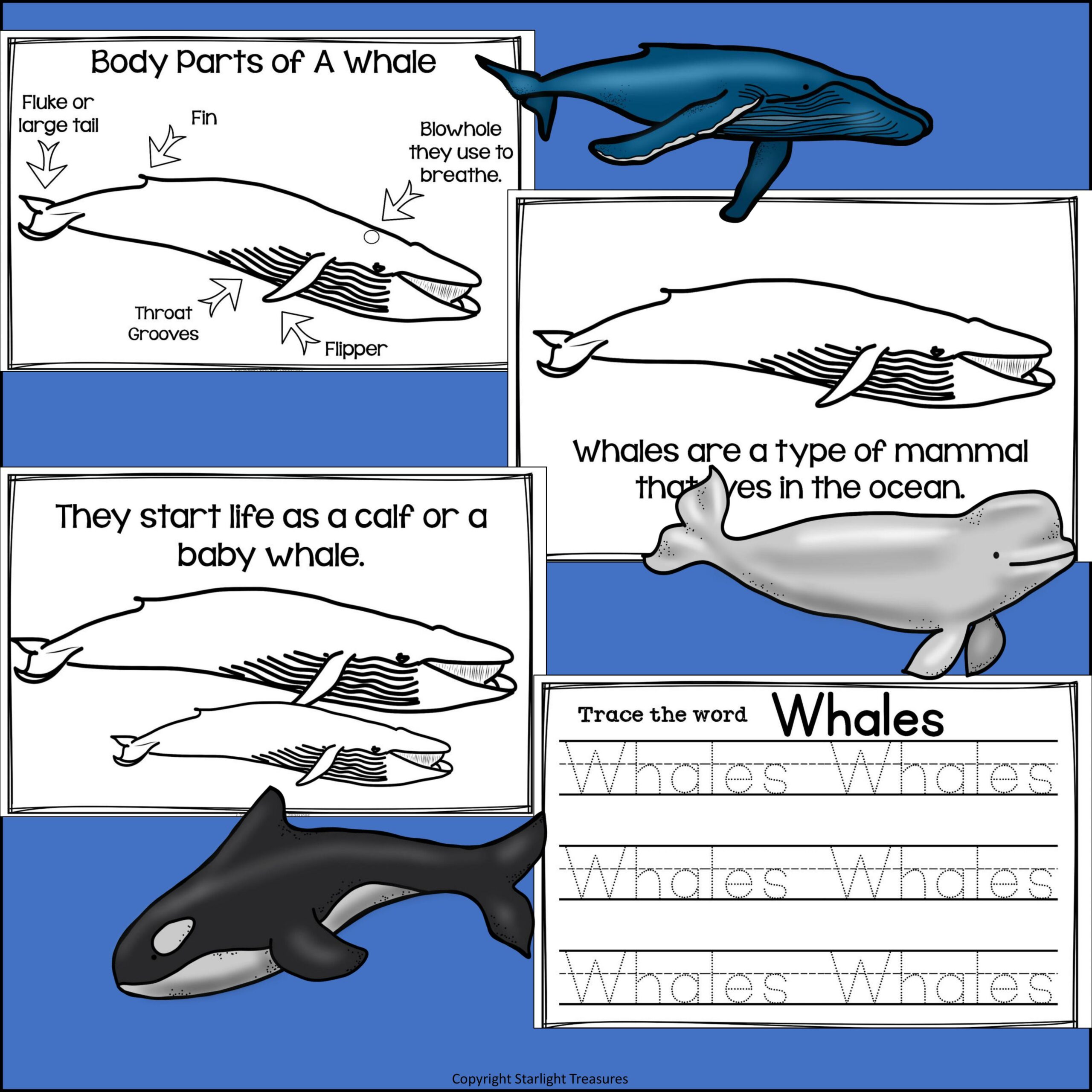 Whales Mini Book for Early Readers - Animal Study | Made By Teachers