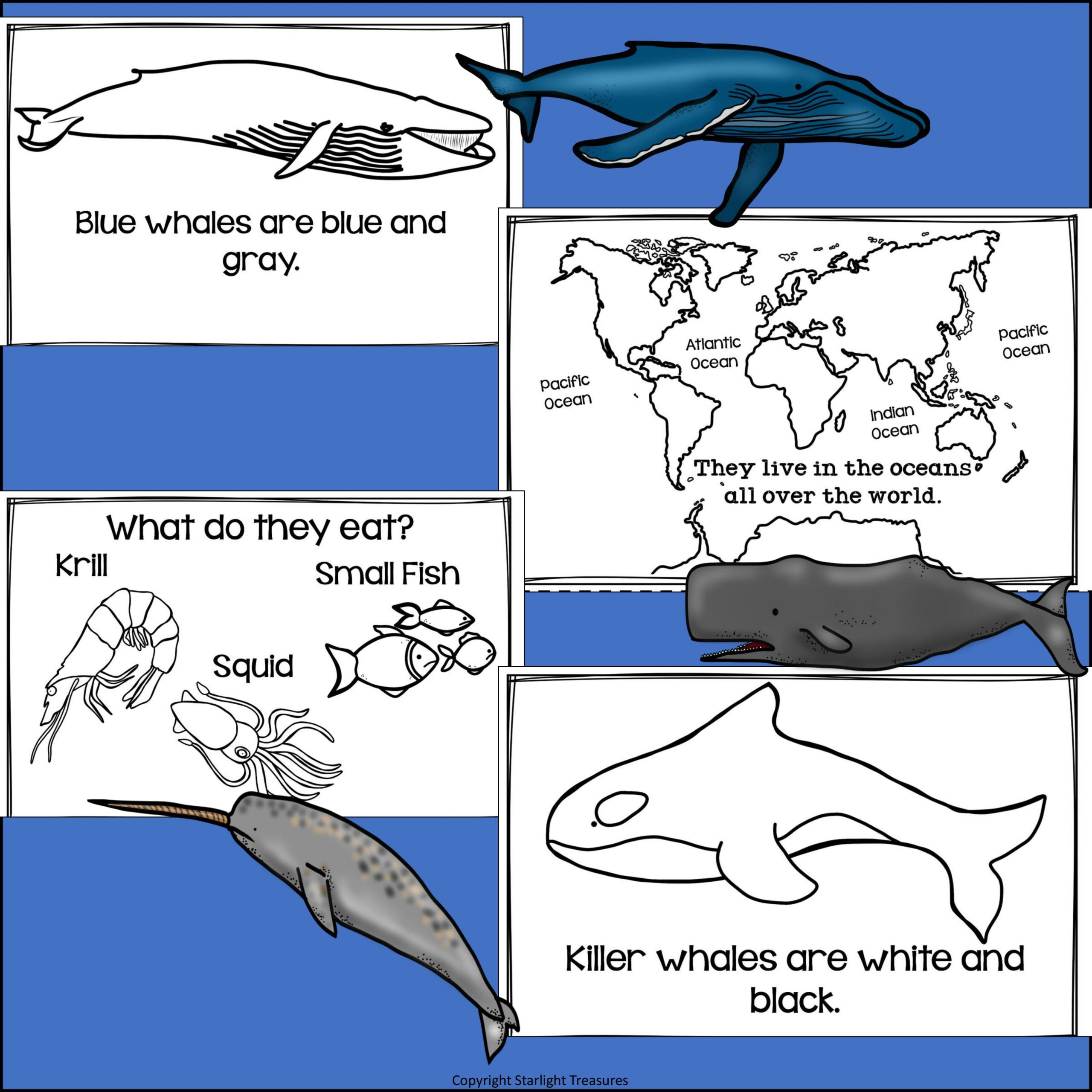 Whales Mini Book for Early Readers - Animal Study | Made By Teachers
