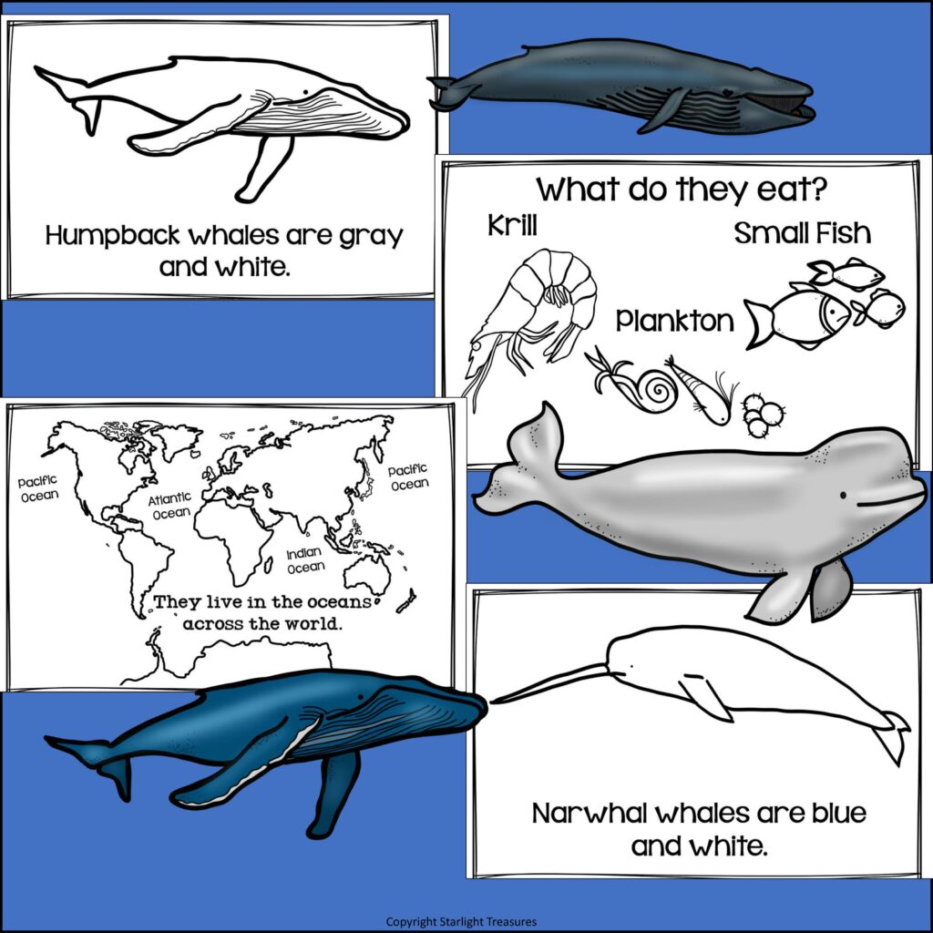 Whales Mini Book for Early Readers - Animal Study | Made By Teachers