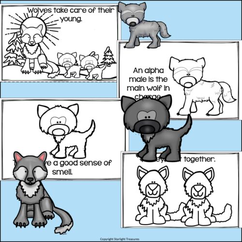 Wolves Mini Book for Early Readers - Animal Study | Made By Teachers