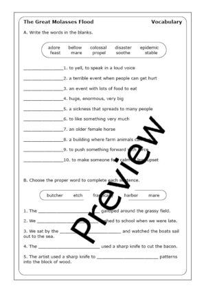 Lauren Tarshis "I Survived the Great Molasses Flood, 1919" worksheets ...