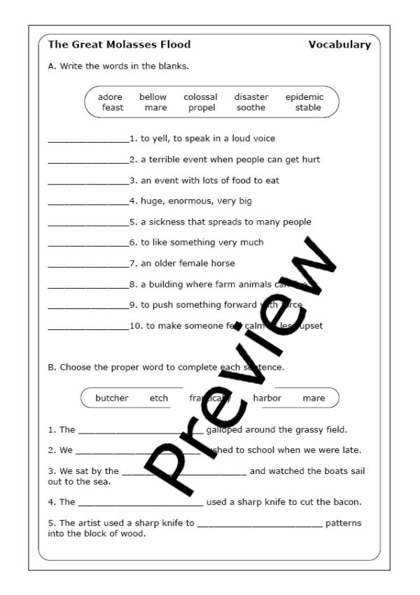 Lauren Tarshis "I Survived the Great Molasses Flood, 1919" worksheets ...