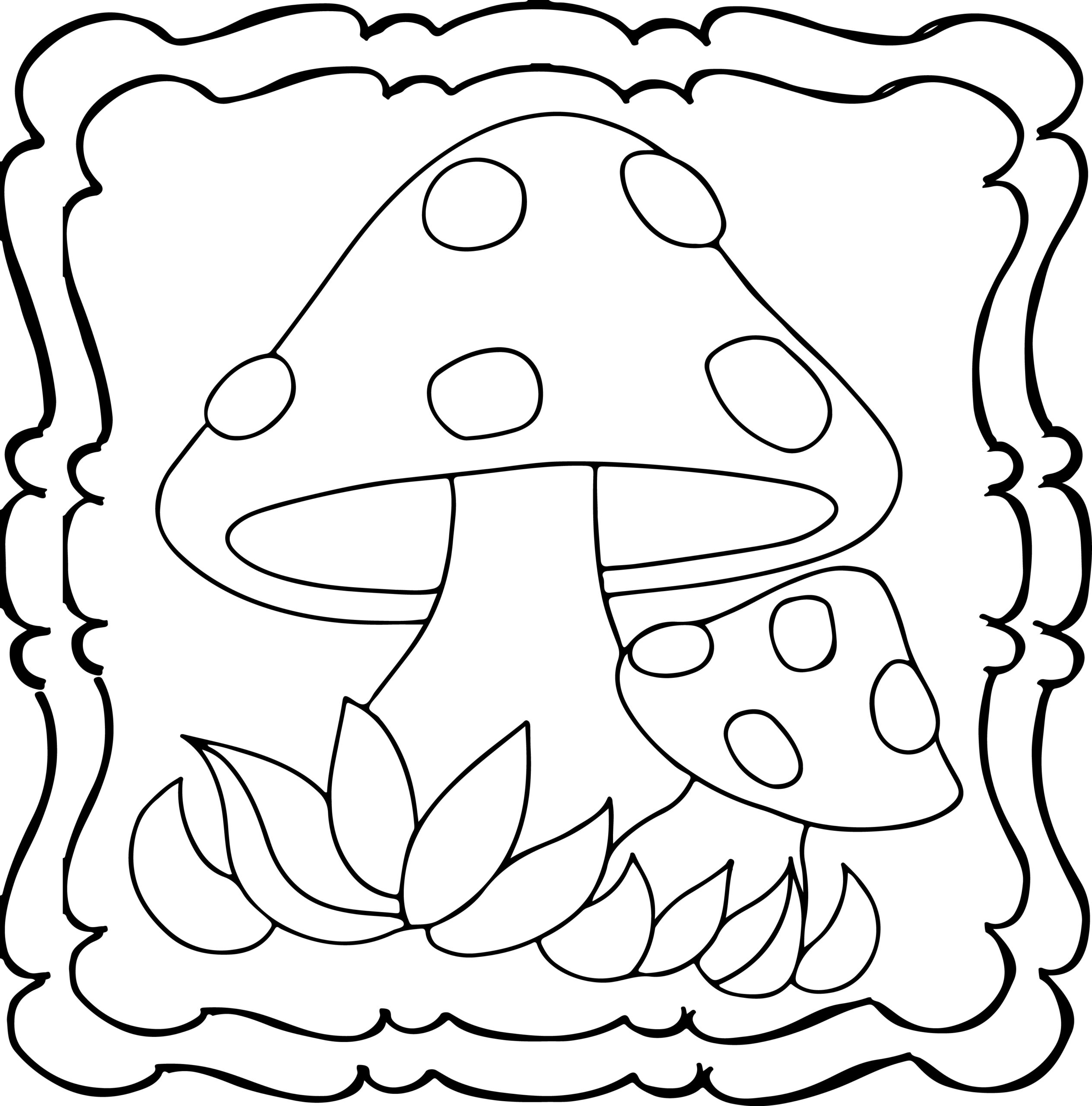 Mushroom Coloring Book : Easy and Fun Mushrooms Coloring Book for Kids ...