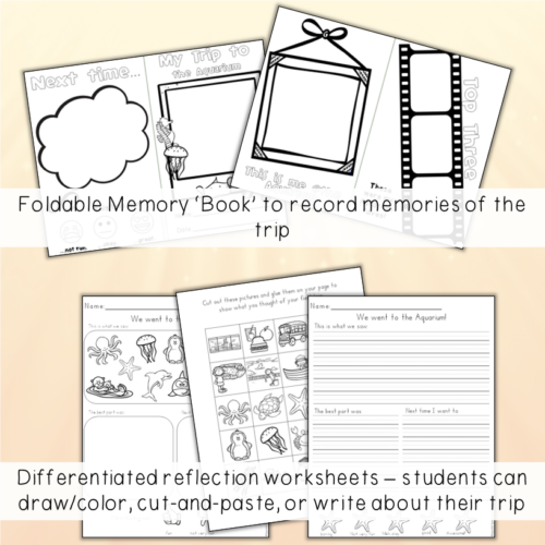 Aquarium Field Trip Unit with Social Narrative and Visuals | Made By ...