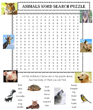 Word Search Puzzles Set #3 - 3 Puzzles | Made By Teachers