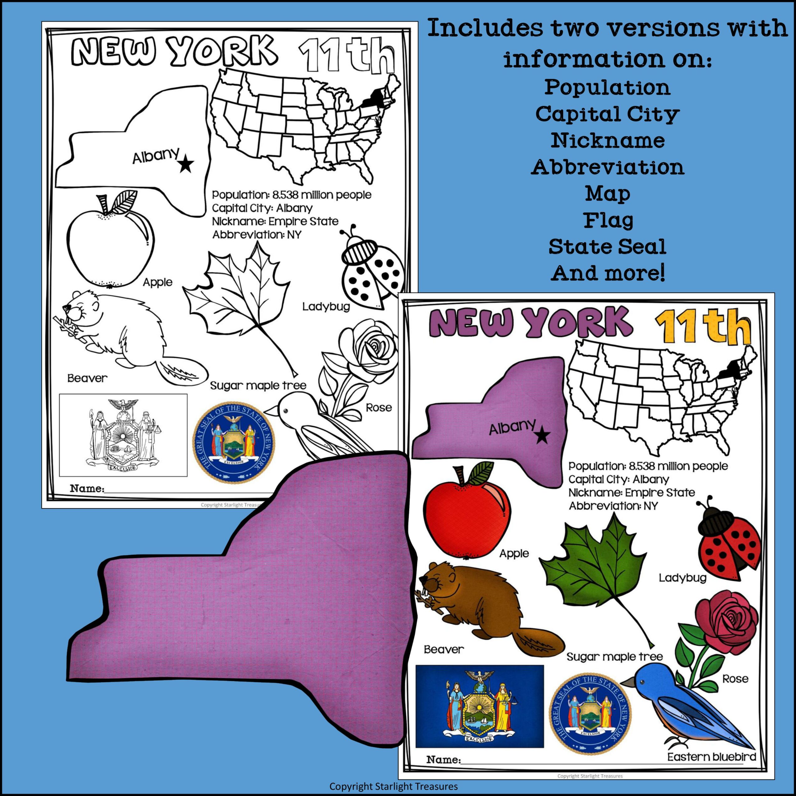 New York Fact Sheet for Early Readers - A State Study | Made By Teachers