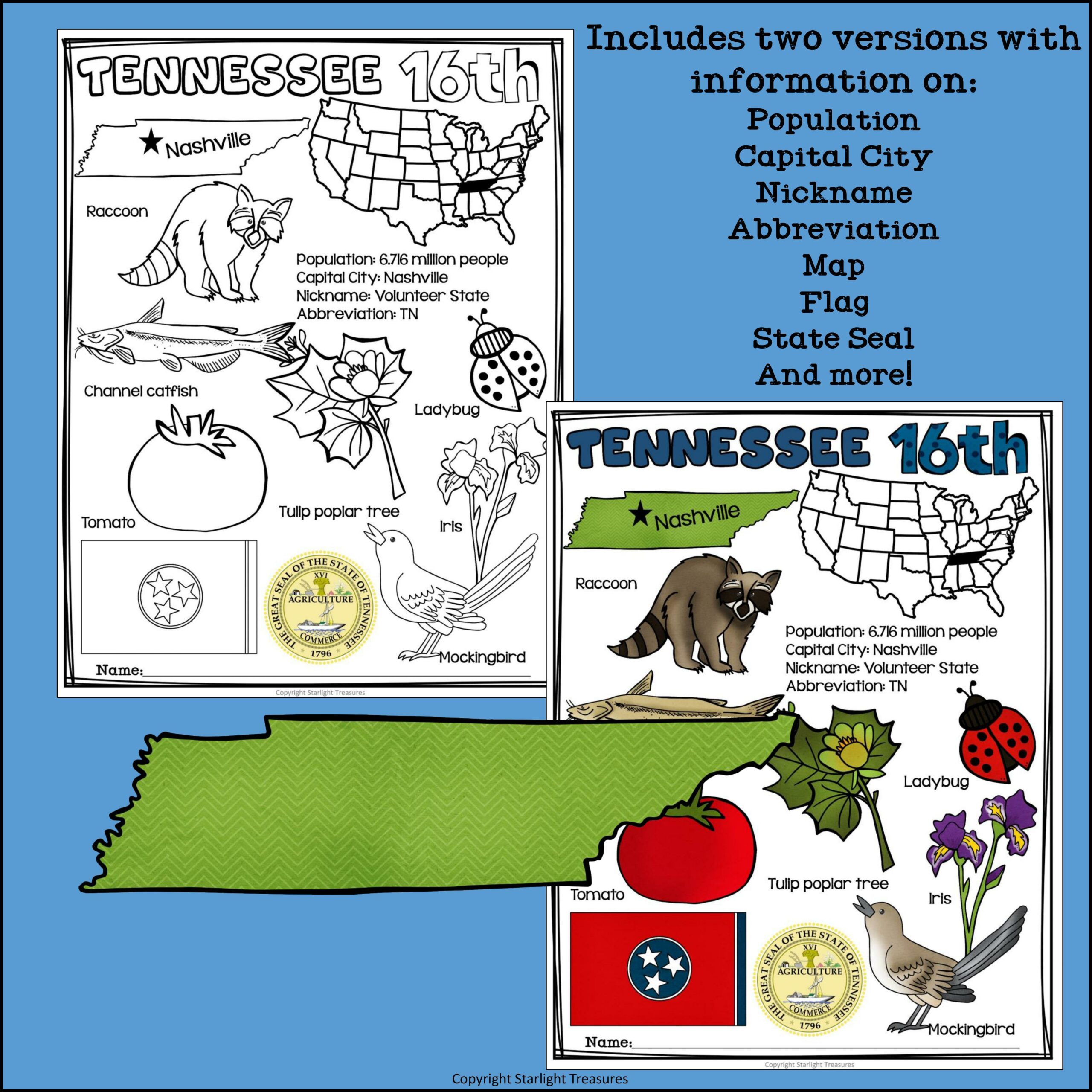Tennessee Fact Sheet for Early Readers - A State Study | Made By Teachers