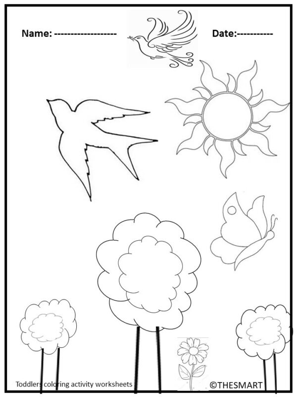 Toddlers Coloring Activity Worksheets | Made By Teachers
