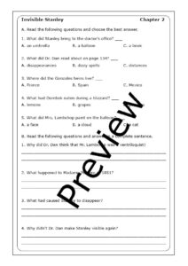 Jeff Brown "Invisible Stanley" worksheets | Made By Teachers