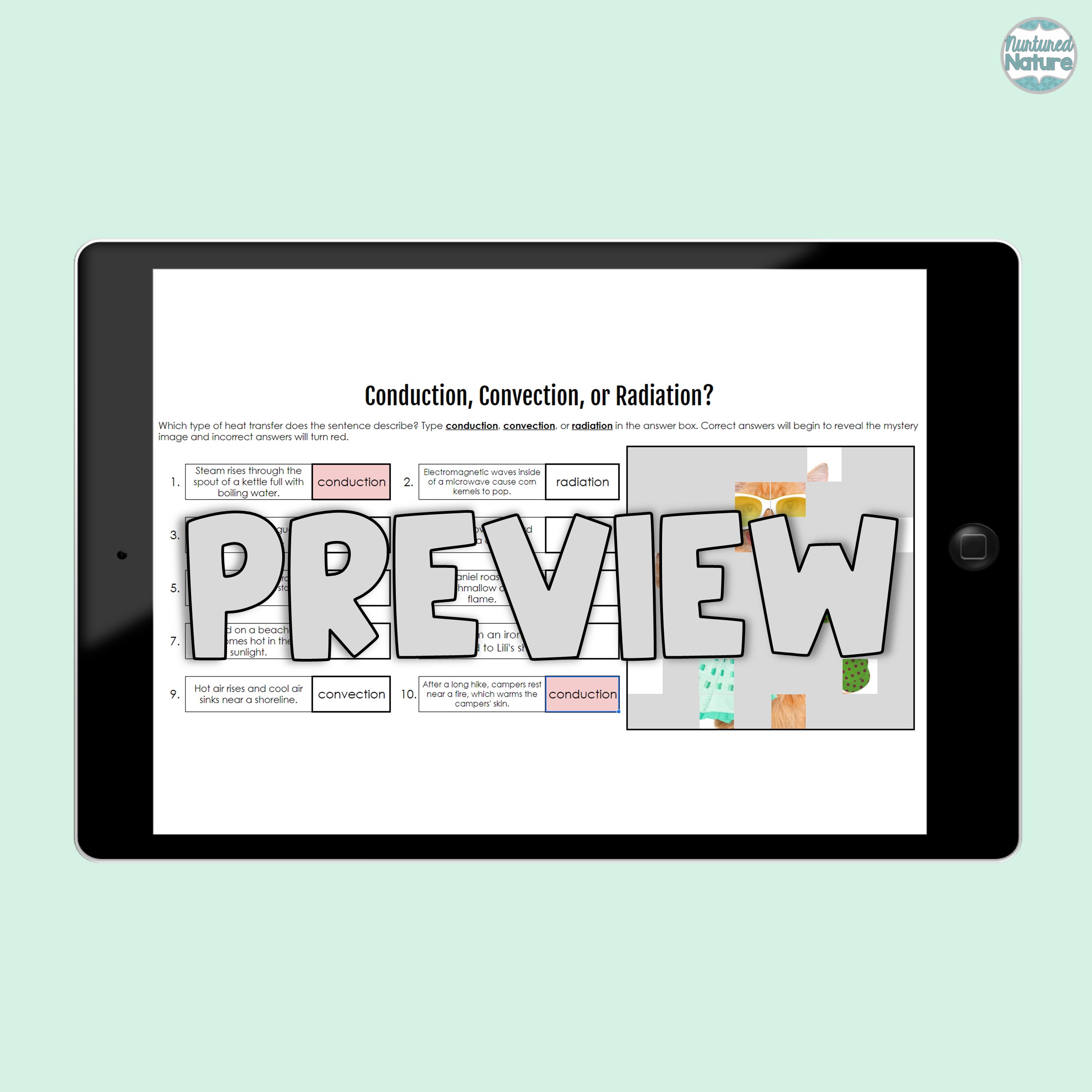 Heat Transfer Digital Pixel Art Puzzle 2 Google Activity | Made By Teachers