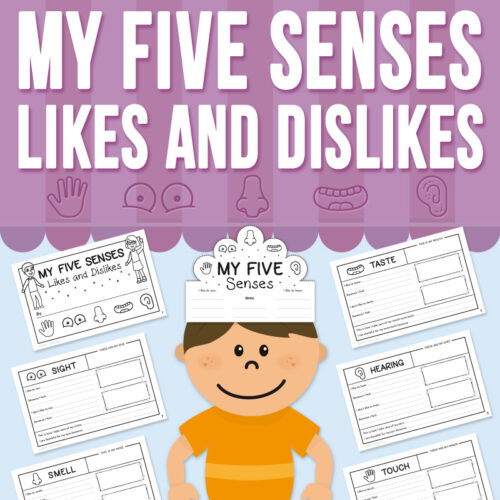 My Five Senses | Likes and Dislikes BUNDLE | Made By Teachers